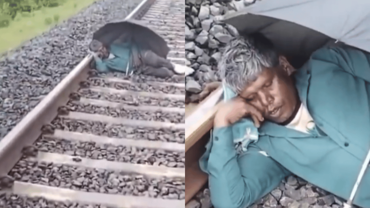 Train Stops Midway As Man Sleeps On Railway Track With Umbrella | Viral Video
